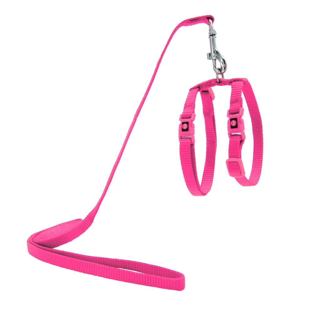 SIGNATURE CAT HARNESS & LEASH – DOCO